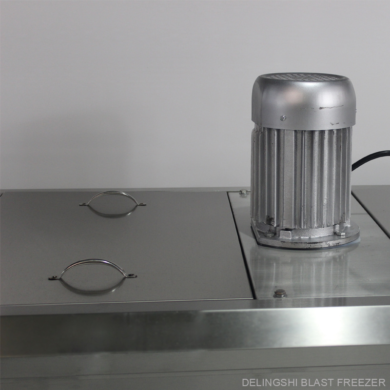 12 Mould Popsicle Making Machine - delingshi blast freezer